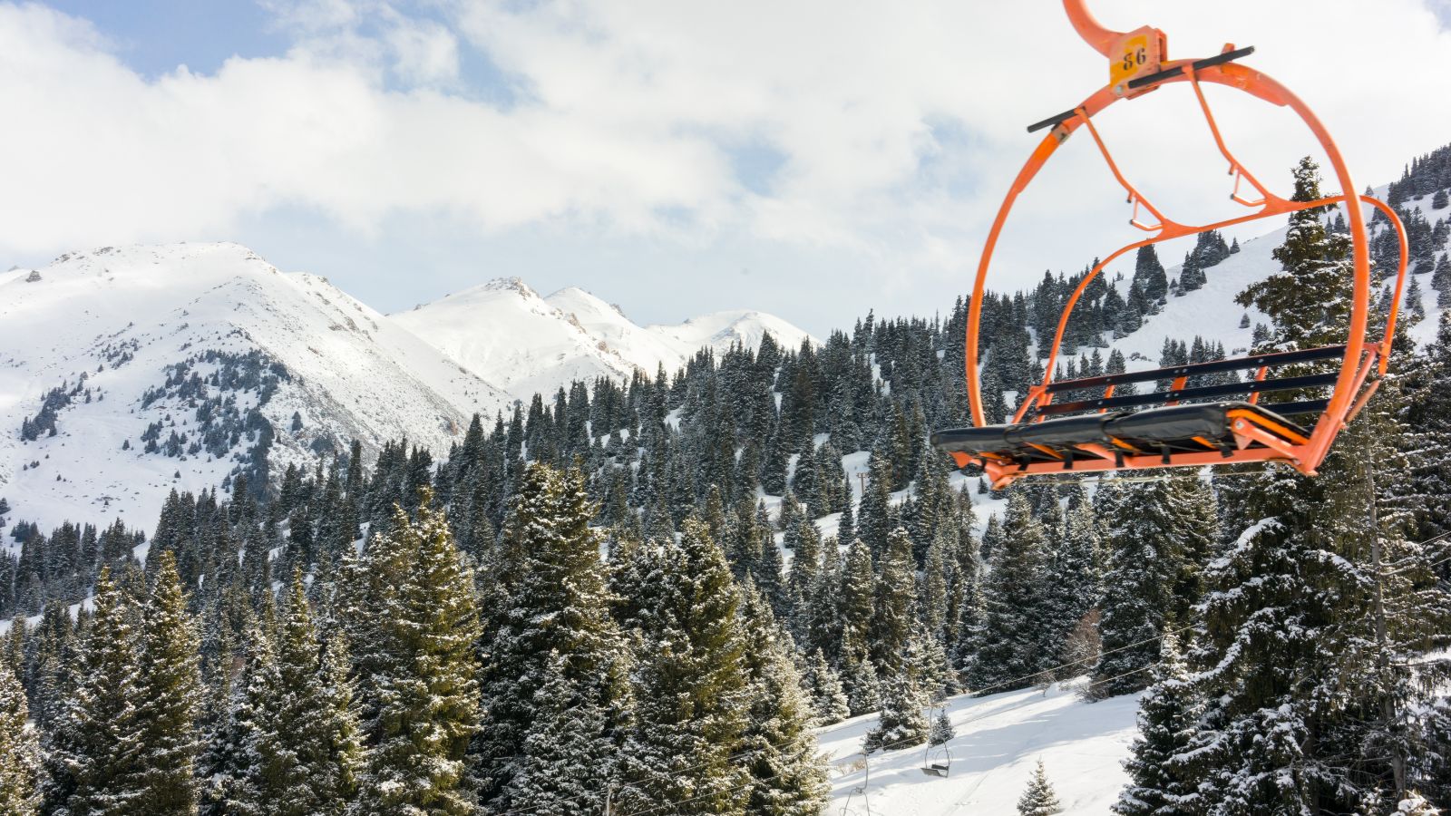 Discover Thrills at Zoar Outdoor Adventure Resort: Your Ultimate Guide ...